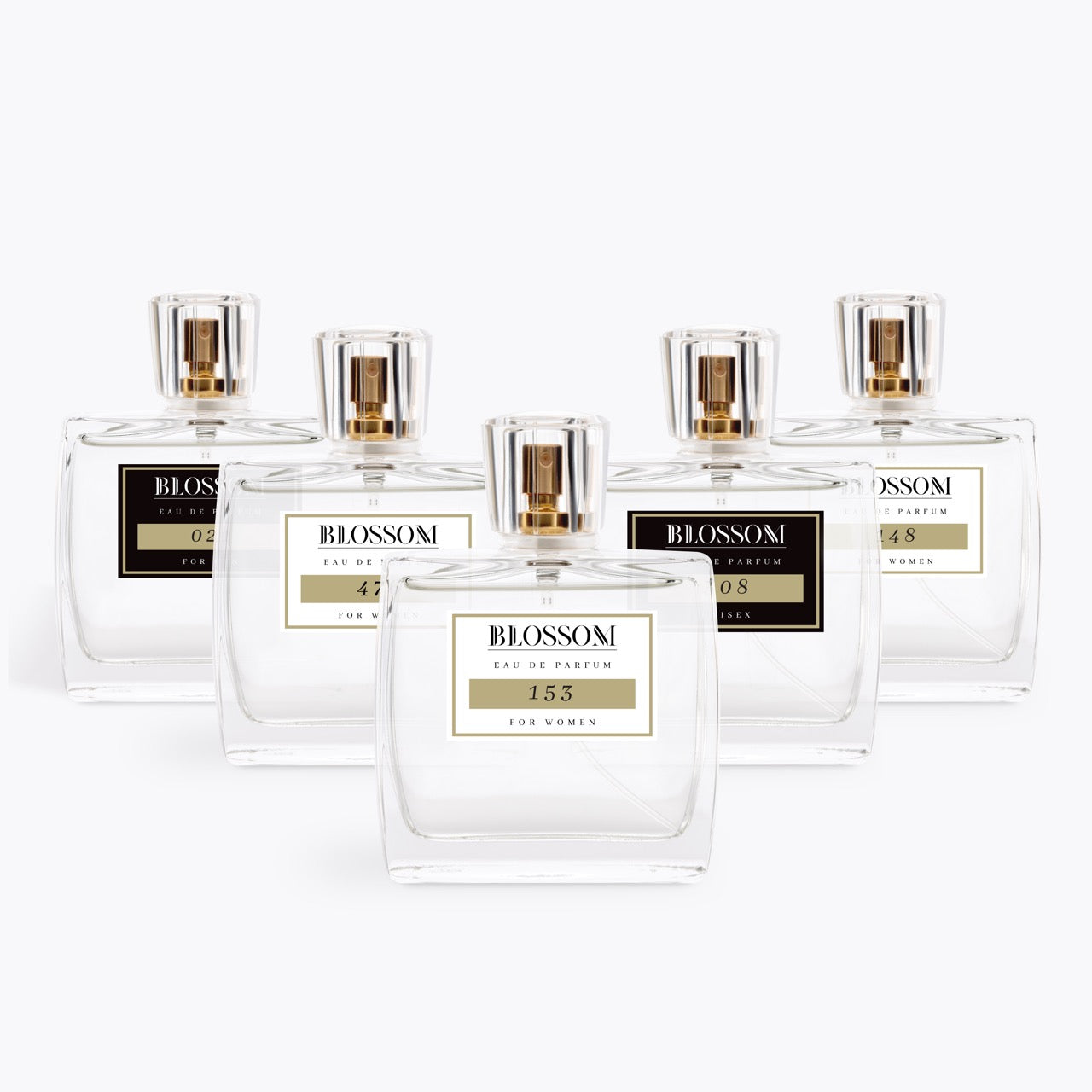 5x 100ml Perfume Bundle